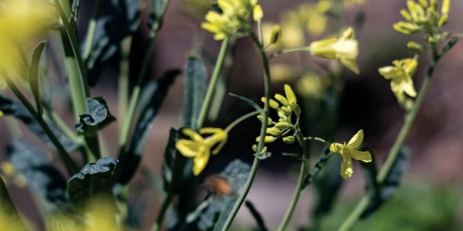 The Courage to Quit – Lydia Wylie-Kellerman